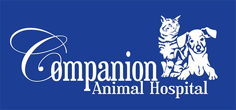 Companion Animal Hospital - American Veterinary Group